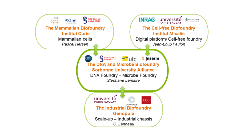 Accueil - Paris Biofoundry
