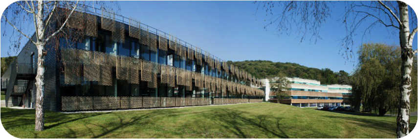 The Cell-Free Biofoundry - Paris Biofoundry
