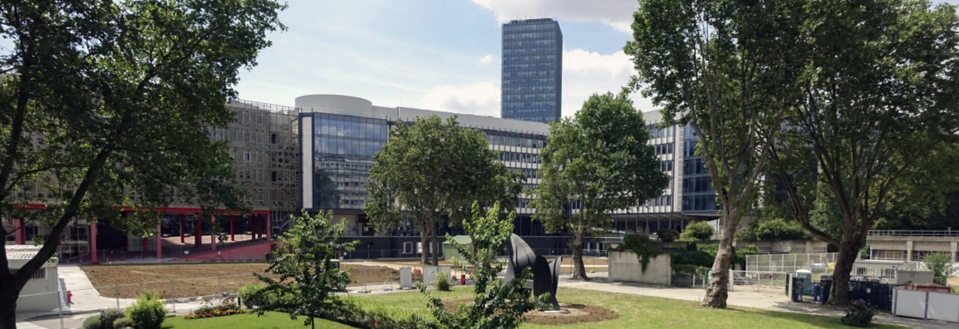 The DNA and Microbe Biofoundry - Paris Biofoundry
